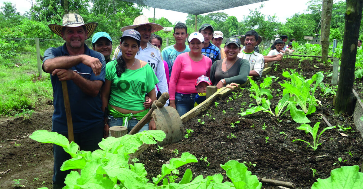 Actualidad: Para recuperar la confianza de los productores - SAC ...