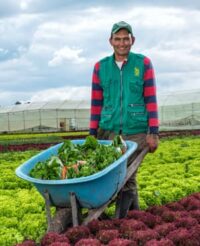 La Reforma Laboral y la propuesta para el sector agropecuario - SAC ...